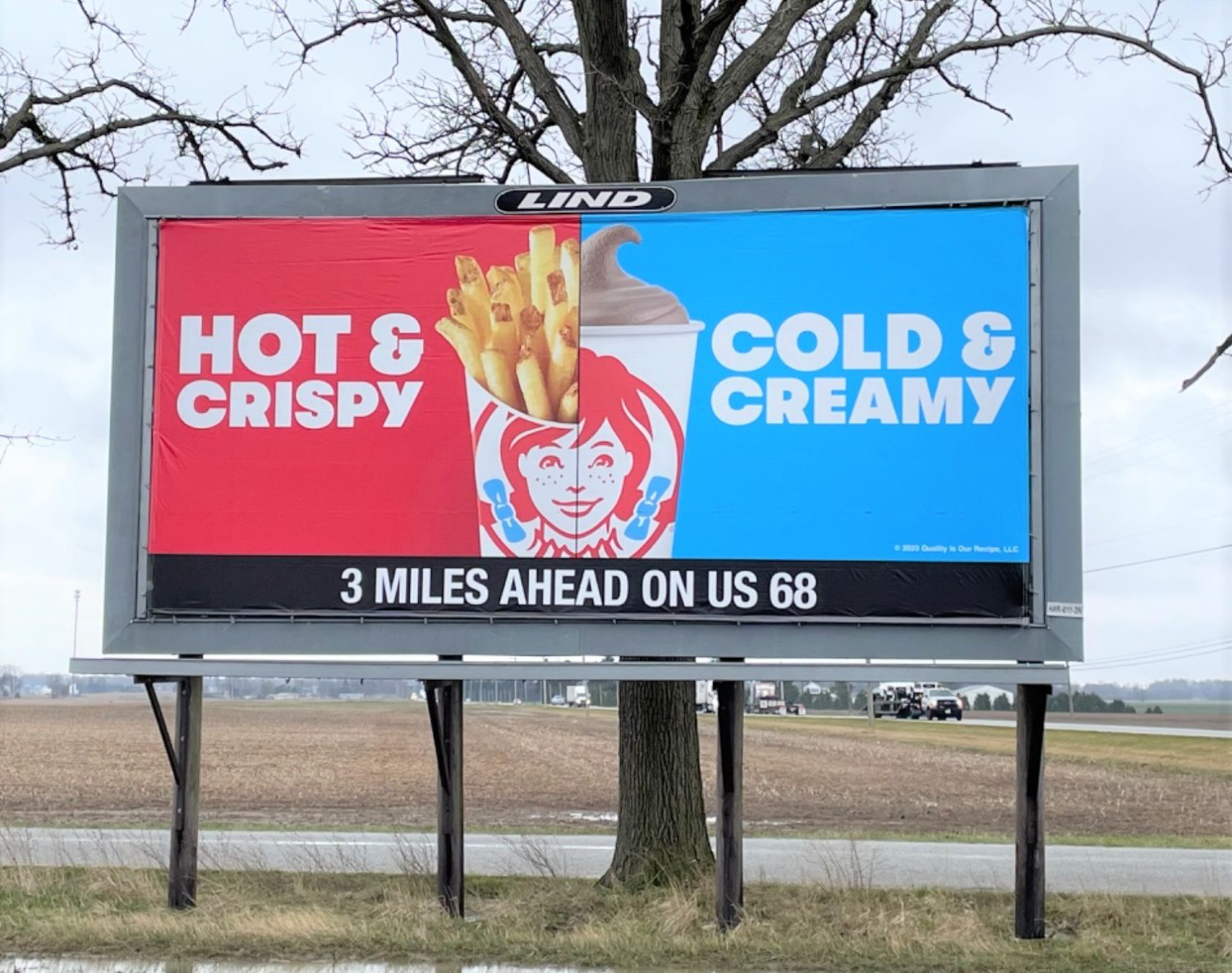 Wendy's | Lind Media